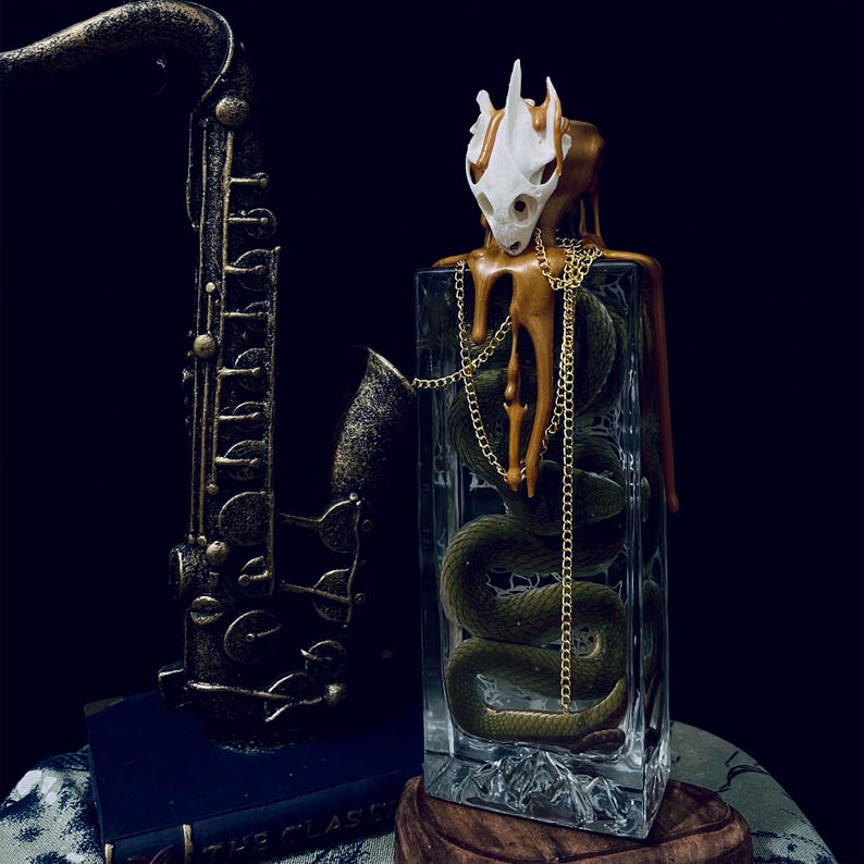 Real Snake Wet Specimen, Green Snake Specimen in Skull Oblong Flask ...