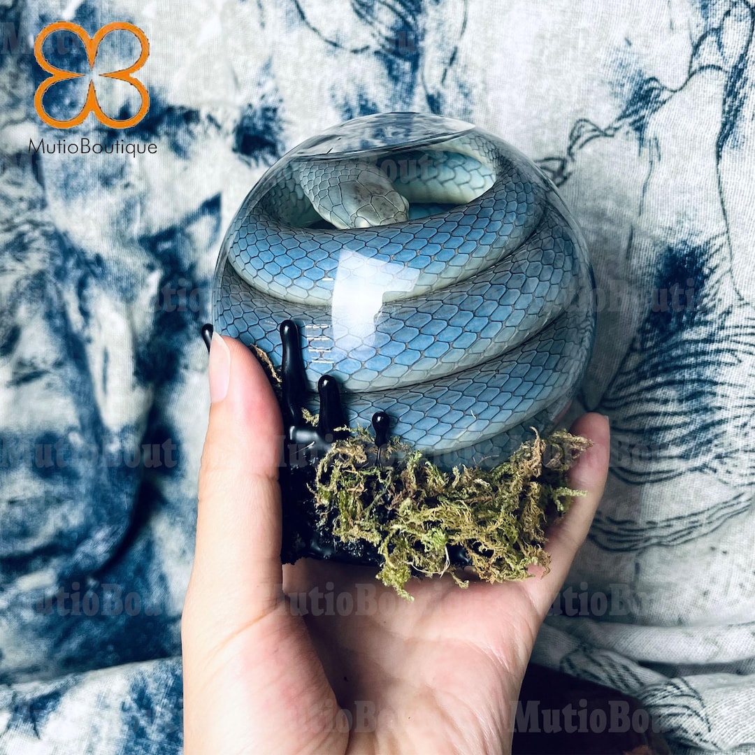 Real Snake Wet Specimen, Green Snake Specimen in Circle Vase ...