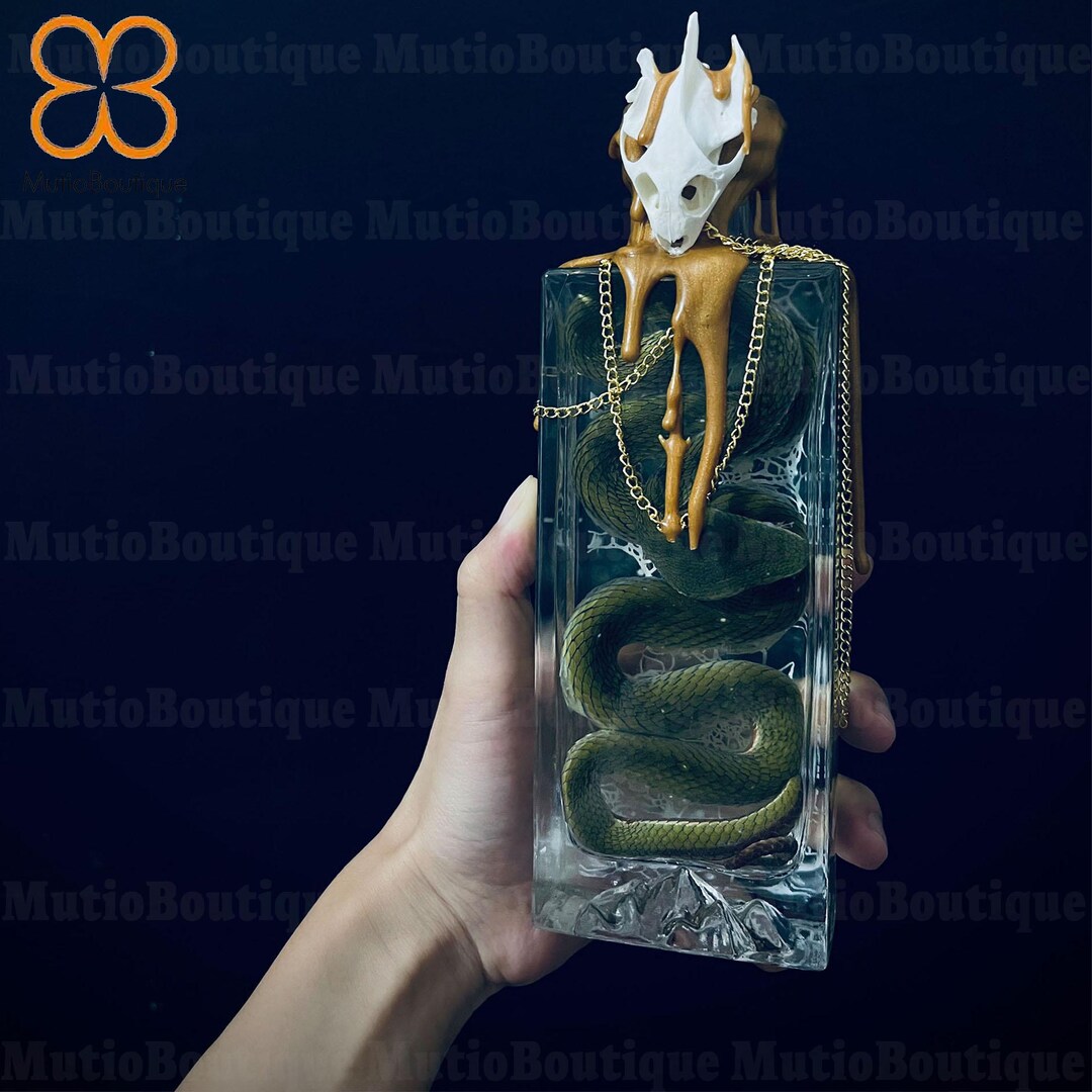 Real Snake Wet Specimen, Green Snake Specimen in Skull Oblong Flask ...