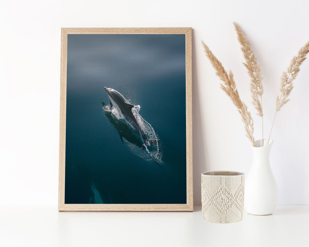 Dolphin Print / Dolphin Frame / Common Dolphin / A5 A4 A3 / Wall Art ...