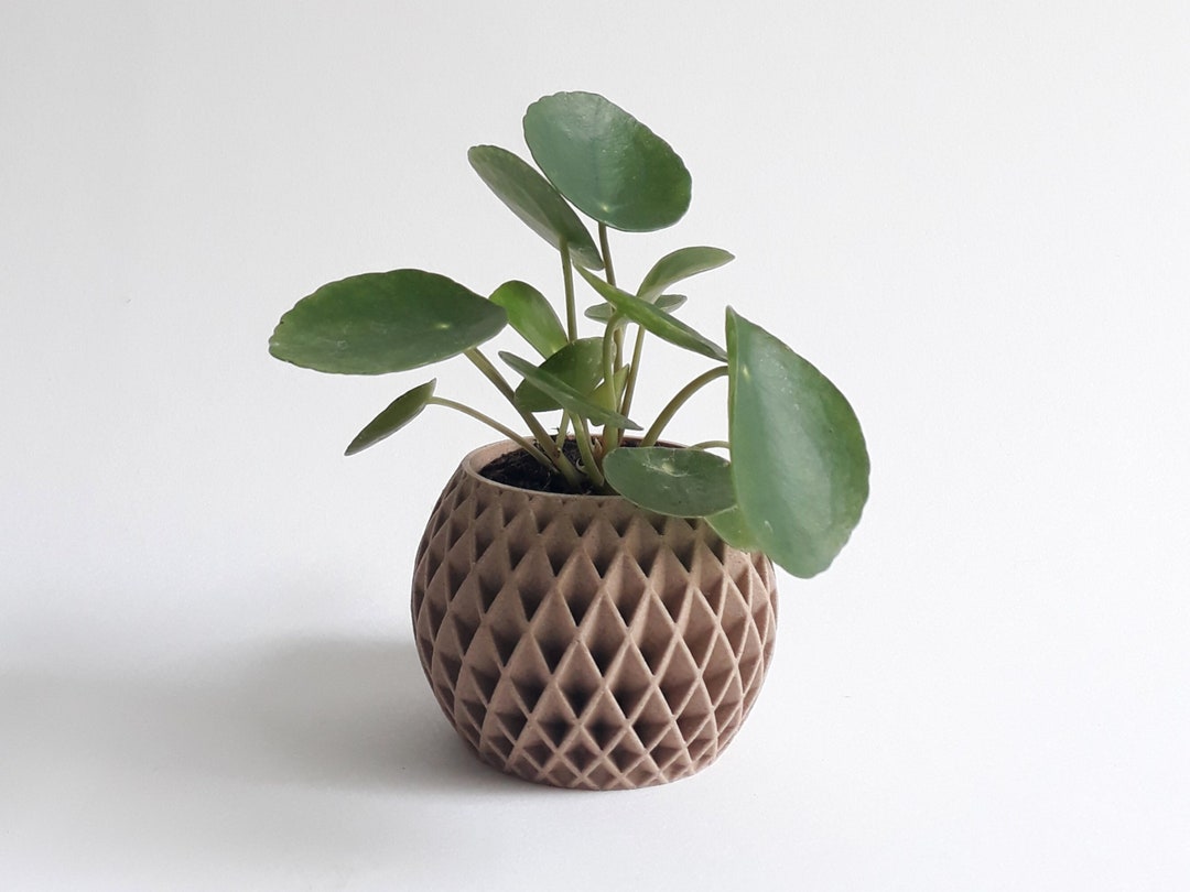 LOTUS: Ball Planter, a Setting for Your Most Beautiful Plants. This is ...