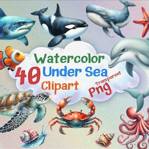 Sea Creatures Watercolor Clipart, 40 Sea Animals Clipart PNG Bundle ...