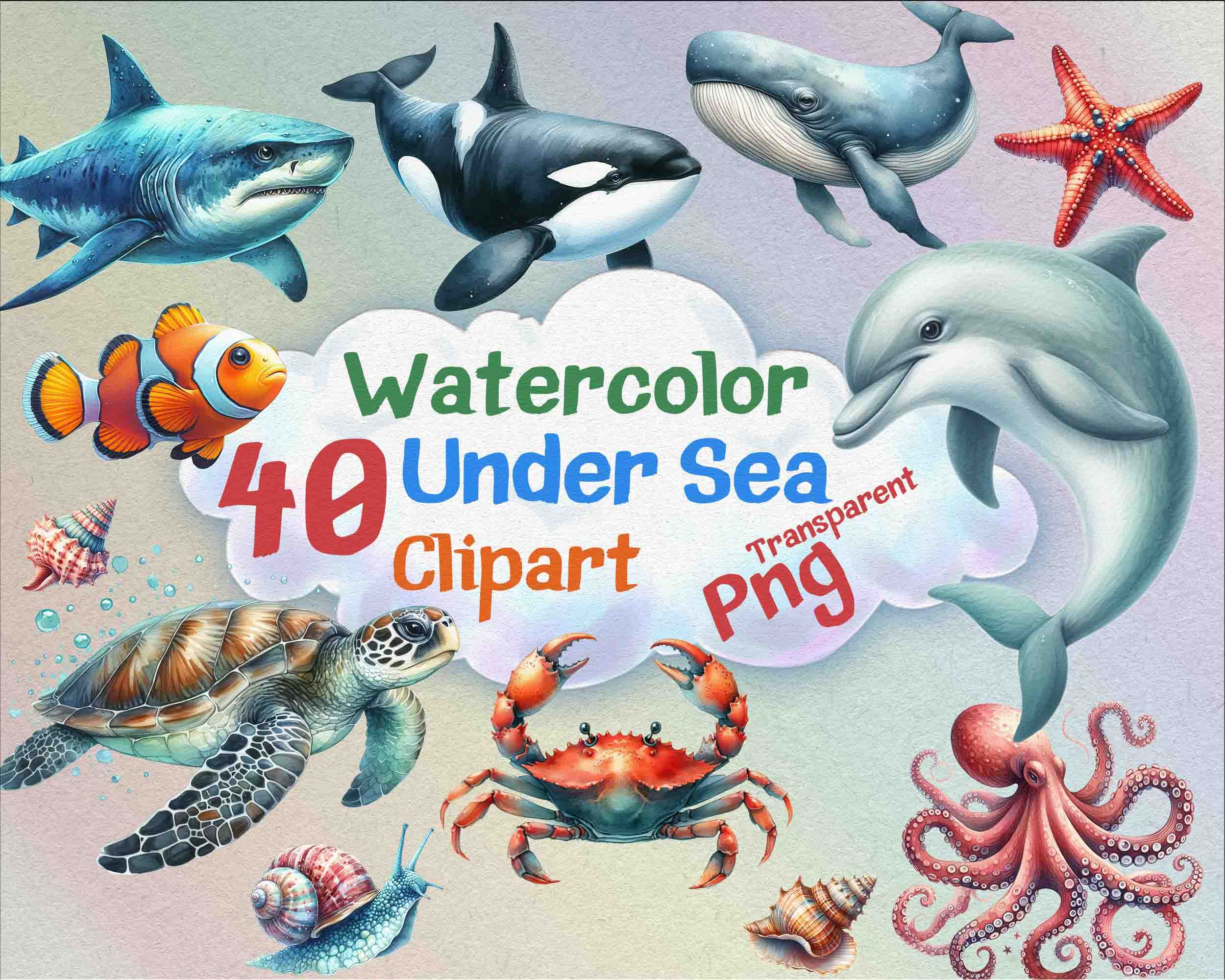 Sea Creatures Watercolor Clipart, 40 Sea Animals Clipart PNG Bundle ...