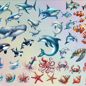 Sea Creatures Watercolor Clipart, 40 Sea Animals Clipart PNG Bundle ...