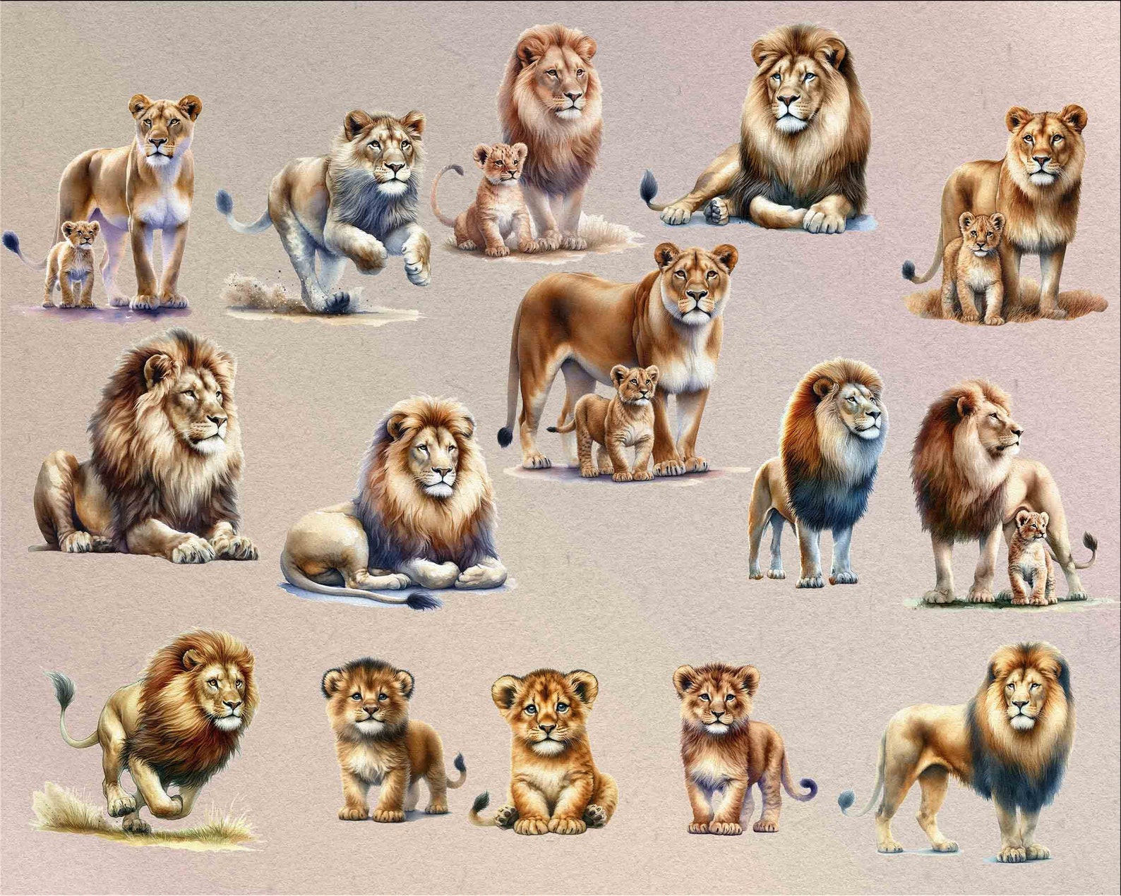Watercolor Lion Pride, Lion Family Clipart Bundle, Transparent Png ...