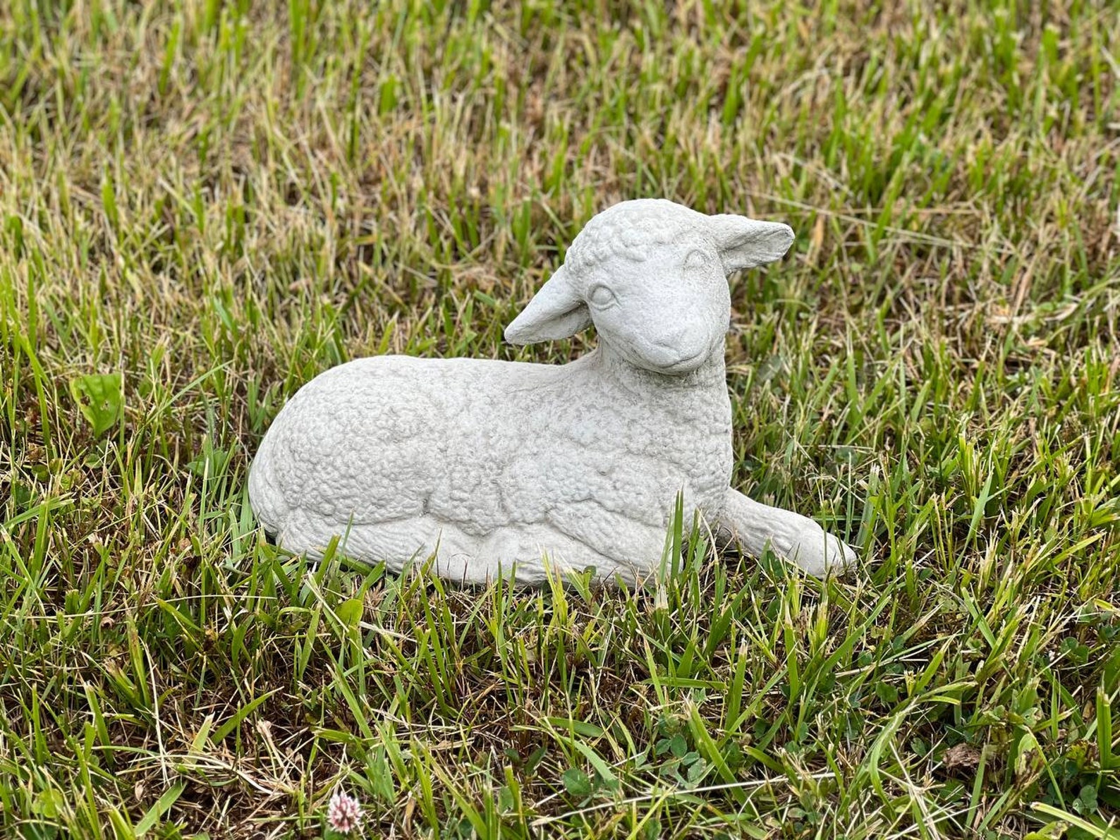 Laying Lamb Statue Cement Detailed Sheep Sculpture Concrete Farm Style ...