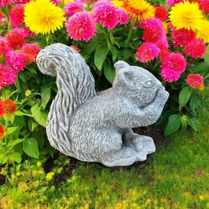 Backyard Squirrel With Acorn Statue Concrete Wild Squirrel Figure ...