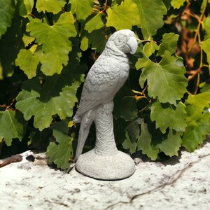 Realistic Parrot Statue Home Bird on Stump Figurine Cement Pet ...