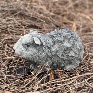 Concrete Tiny Guinea Pig Statue Cement Garden Animal Sculpture Gift for ...