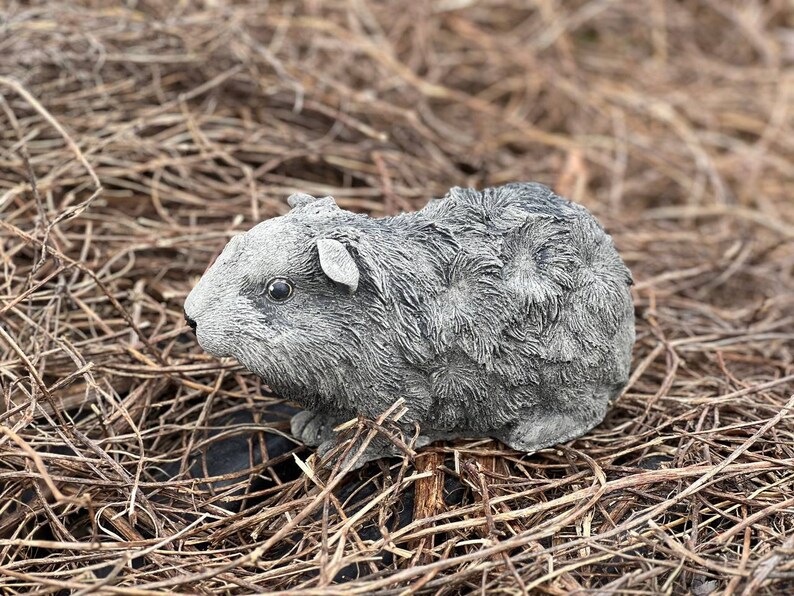 Concrete Tiny Guinea Pig Statue Cement Garden Animal Sculpture Gift for ...