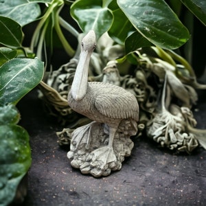 Cement Pelican Sculpture Standing Tropical Bird Figurine Massive Exotic ...