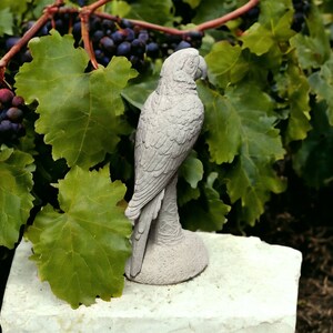 Realistic Parrot Statue Home Bird on Stump Figurine Cement Pet ...