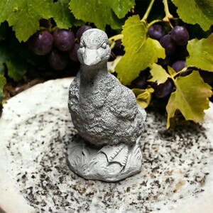 Cement Standing Duck Statue Garden Ducking on Base Figure Stone Farm ...