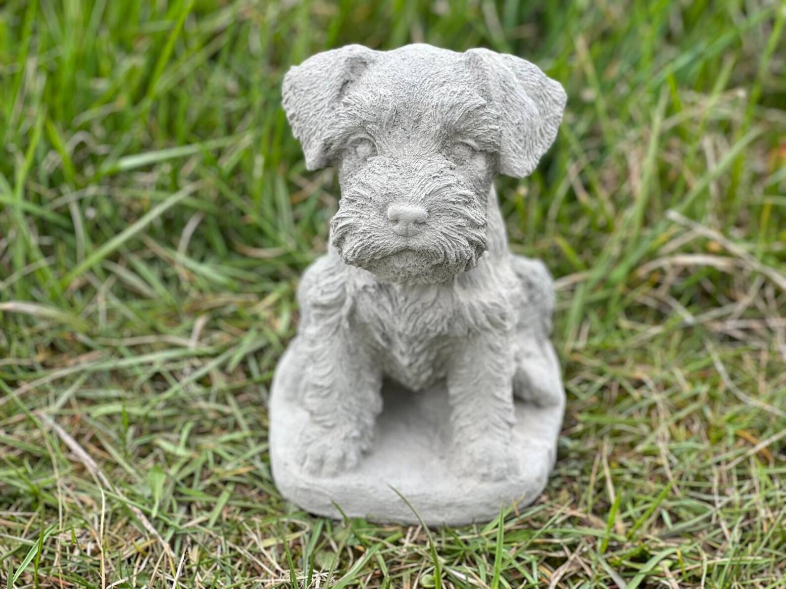 Sitting Schnauzer Dog Statue Cement Puppy Schnauzer Memorial Stone ...