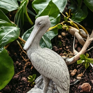 Cement Pelican Sculpture Standing Tropical Bird Figurine Massive Exotic ...