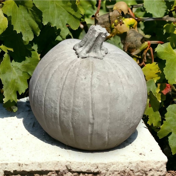Concrete Cement Pumpkins - Etsy
