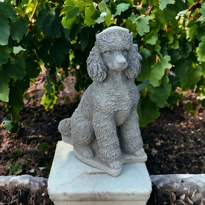 Life Size Poodle Statue Concrete Dog Memorial for Garden Yard Poodle ...