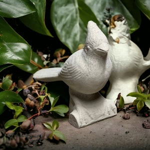 Concrete Bird Sitting on Stump Figure Detailed Wild Cardinal Bird ...