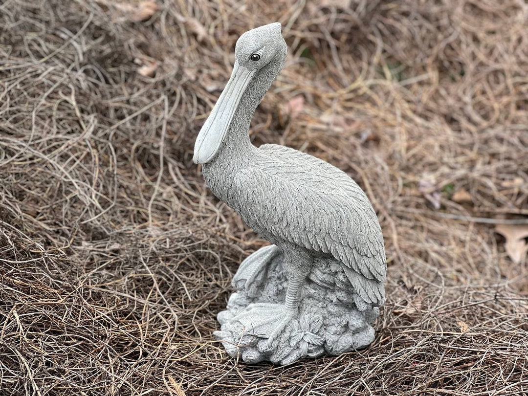 Concrete Pelican Statue Detailed Bird Figurine Wild Pelican Bird ...