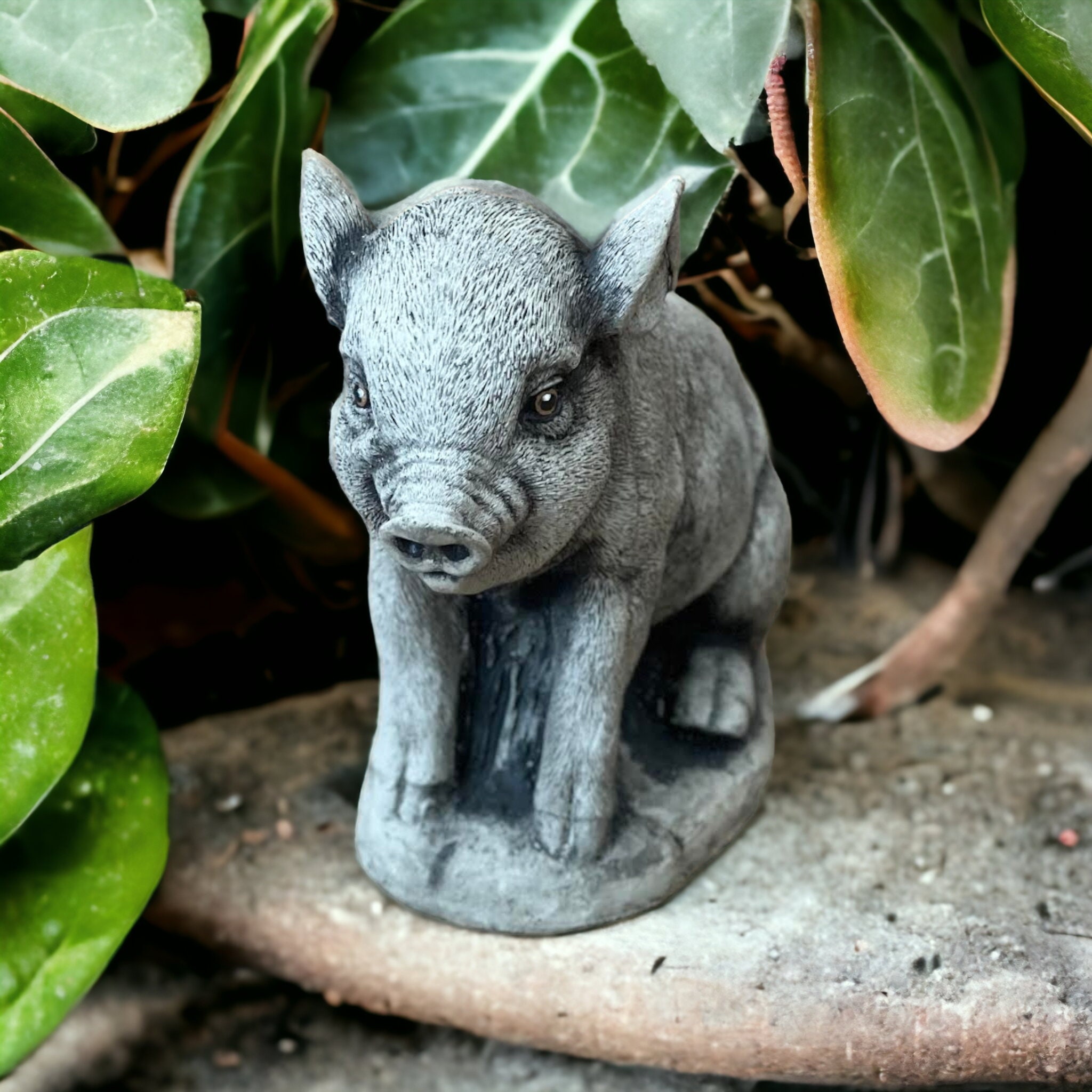 Realistic Pig Statue Cement Sitting Farm Animal Figurine Concrete ...