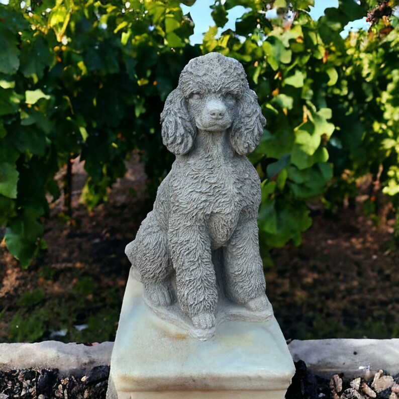 Life Size Poodle Statue Concrete Dog Memorial for Garden Yard Poodle ...