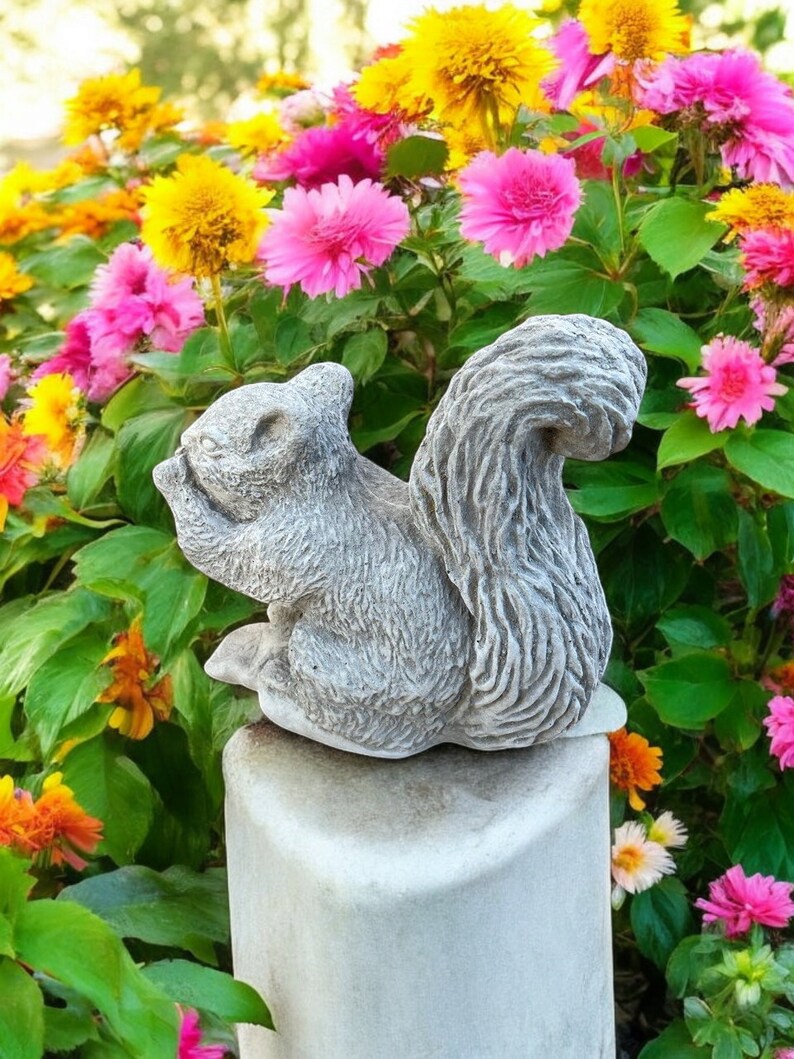 Backyard Squirrel With Acorn Statue Concrete Wild Squirrel Figure ...