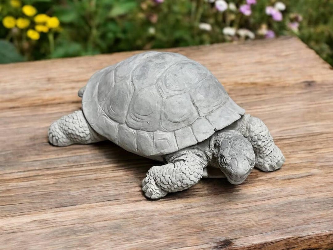 Cement Turtle Statue Outside Animal Sculpture Backyard Turtle Art Lawn ...