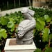 Stone Pelican Statue Massive Bird Decoration Detailed Wild Pelican ...