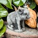Realistic Pig Statue Cement Sitting Farm Animal Figurine Concrete ...