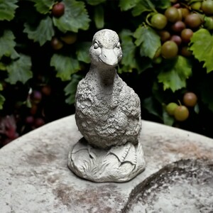 Cement Standing Duck Statue Garden Ducking on Base Figure Stone Farm ...