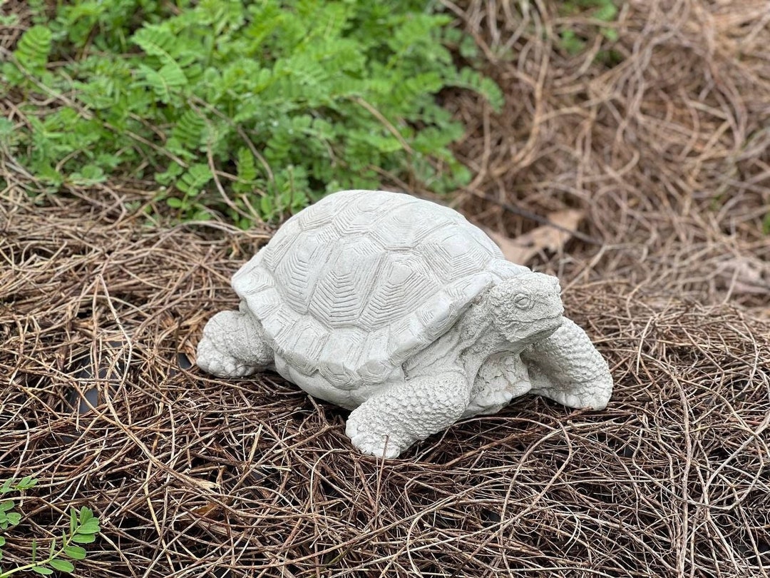 Realistic Wild Turtle Sculpture Concrete Turtle Figurine for Garden ...