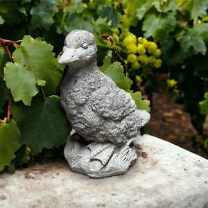 Cement Standing Duck Statue Garden Ducking on Base Figure Stone Farm ...