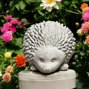 Wild Hedgehog Sculpture Realistic Stone Forest Animal Figure Backyard ...