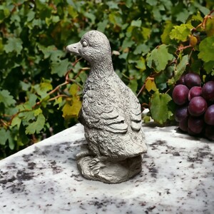Cement Standing Duck Statue Garden Ducking on Base Figure Stone Farm ...
