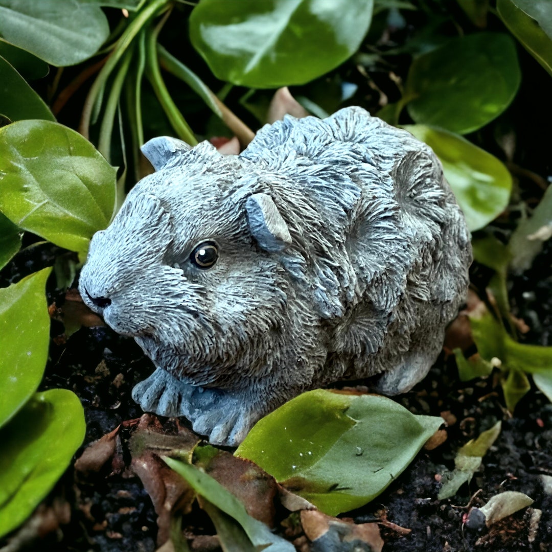 Cement Guinea Pig Figure Realistic Home Animal Statue Concrete Small ...