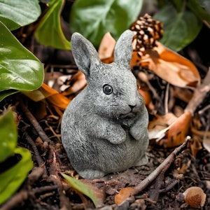 Cement Rabbit Chubby Statue Detailed Standing Hare Figurine Concrete ...