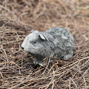 Concrete Tiny Guinea Pig Statue Cement Garden Animal Sculpture Gift for ...