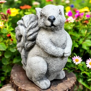 Concrete Squirrel Sculpture Yard Concrete Wild Animal Figurine Stone ...