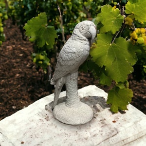 Realistic Parrot Statue Home Bird on Stump Figurine Cement Pet ...
