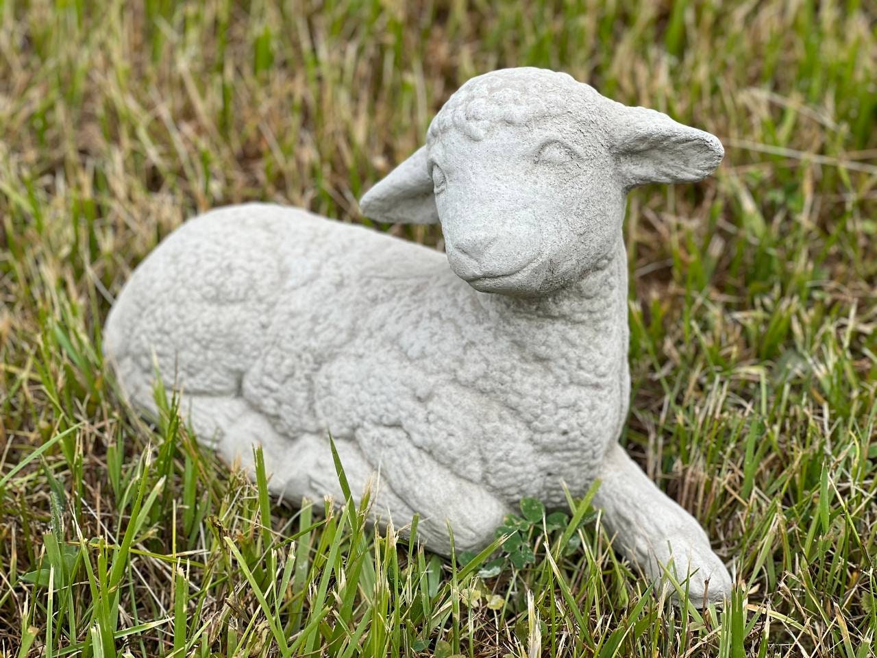 Laying Lamb Statue Cement Detailed Sheep Sculpture Concrete Farm Style ...