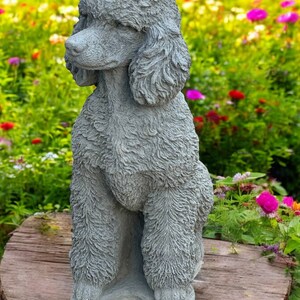 Large Poodle Sculpture Massive Sitting Dog Statue Concrete Pet Memorial ...