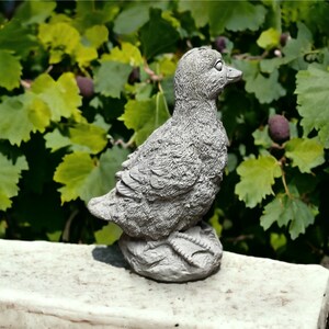 Cement Standing Duck Statue Garden Ducking on Base Figure Stone Farm ...