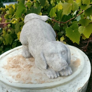 Stone Crouching Dog Statue Puppy Garden Outdoor Figure Playing Concrete ...
