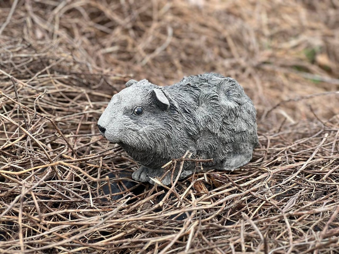 Concrete Tiny Guinea Pig Statue Cement Garden Animal Sculpture Gift for ...