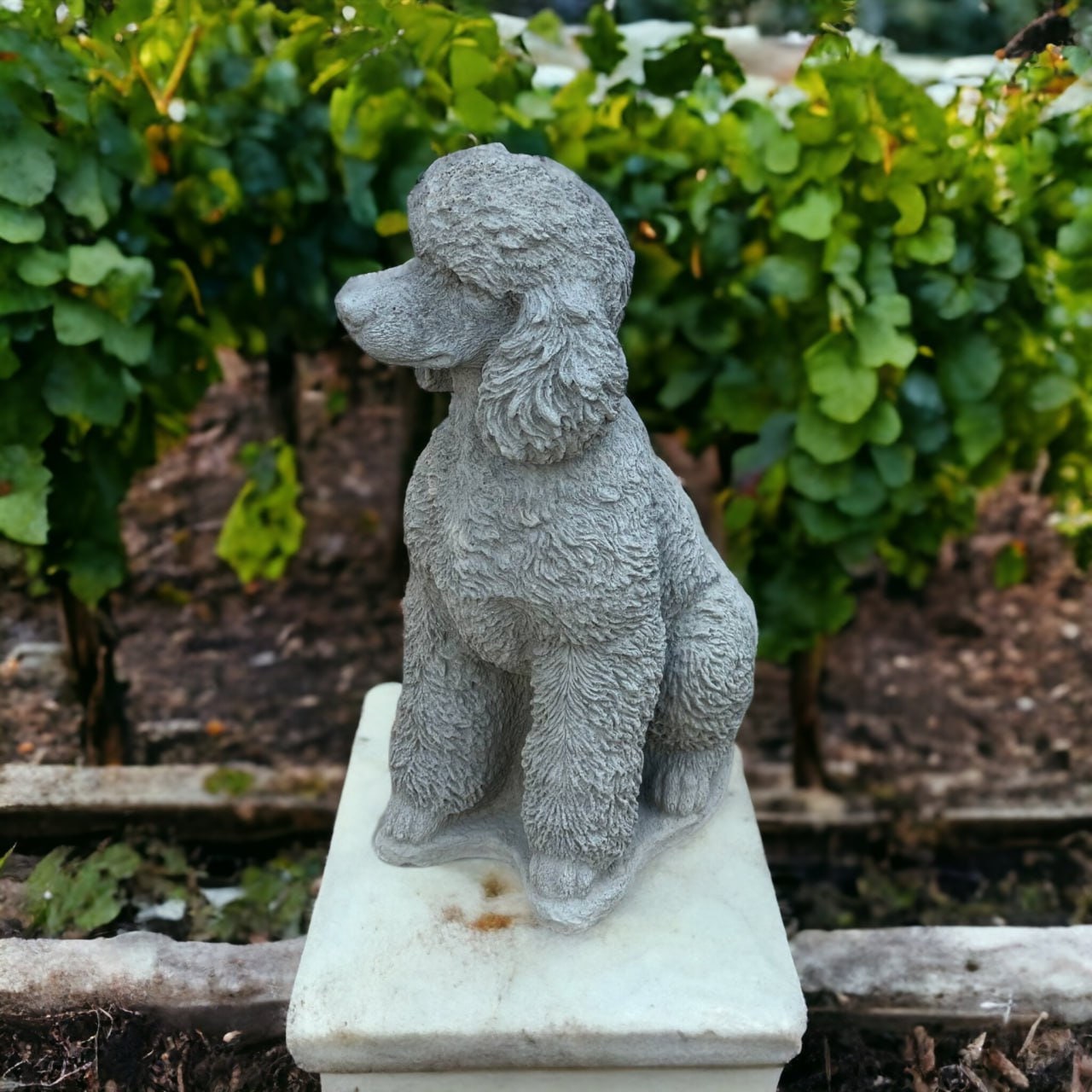 Life Size Poodle Statue Concrete Dog Memorial for Garden Yard Poodle ...