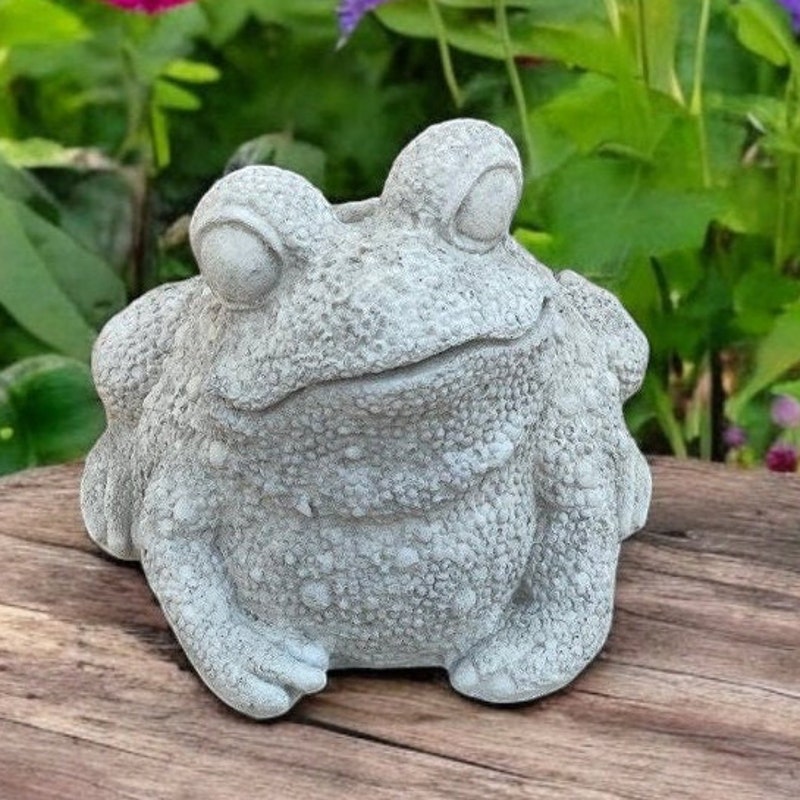 Concrete Toad - Etsy
