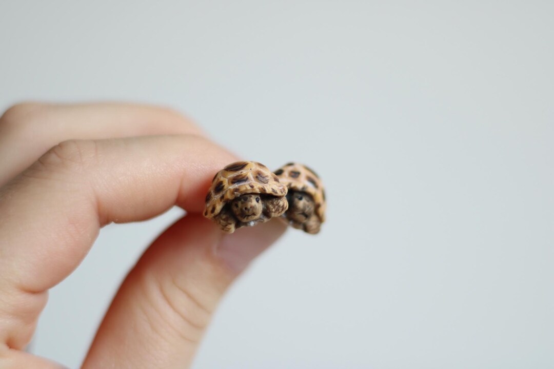 Tortoise Turtle Polymer Clay Stud Earrings, Fimo Hermanns Tortoise ...