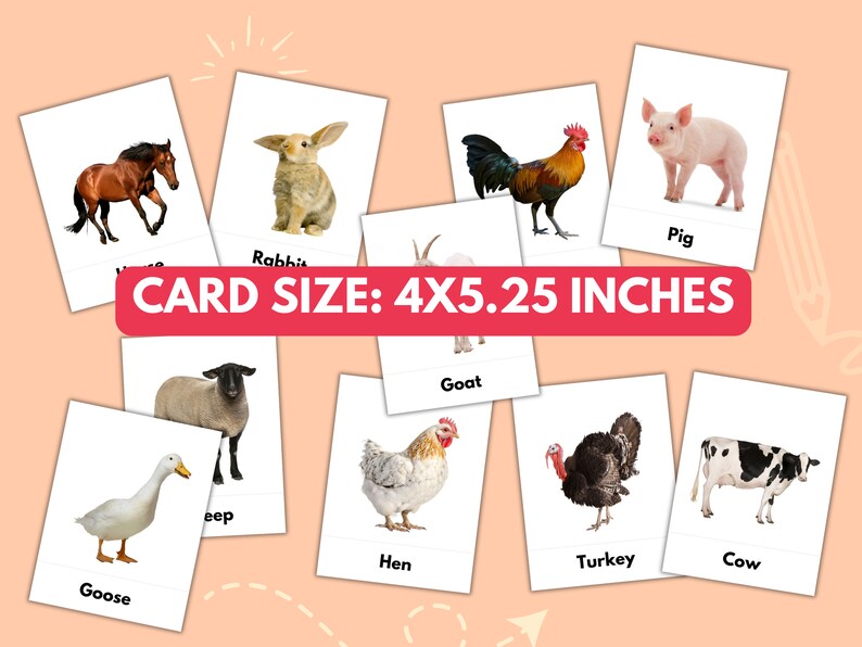 Farm Animals Flash Cards, Montessori Homeschool Printable (PDF) - Etsy