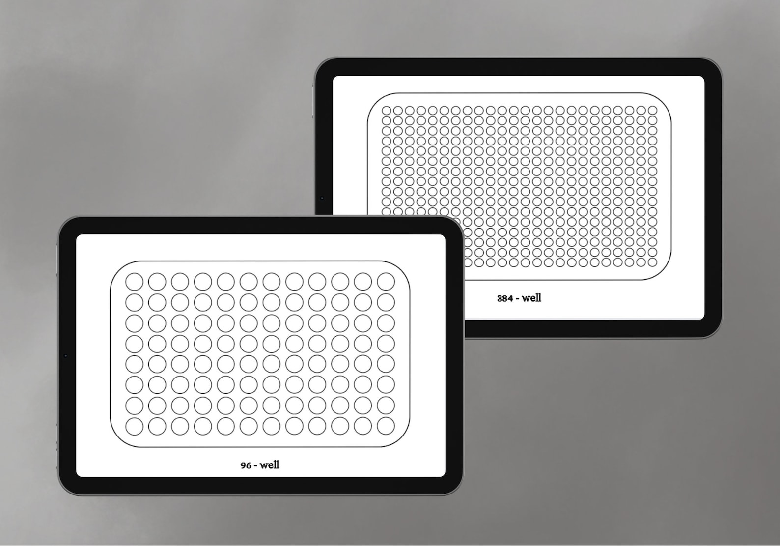 Well Plate Templates, 6-, 12-, 24-, 48-, 96-, 384 - Microtiter Plate ...