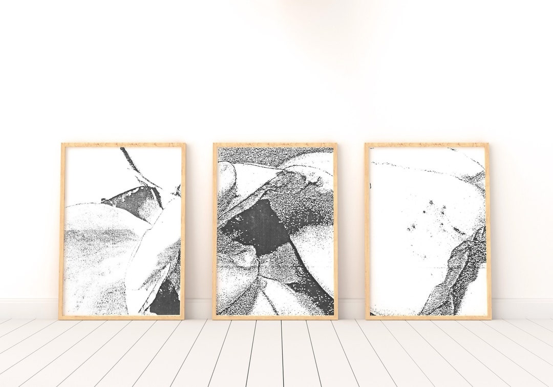 Grayscale Natural Form Art Prints: Set of 3, High-resolution (digital ...